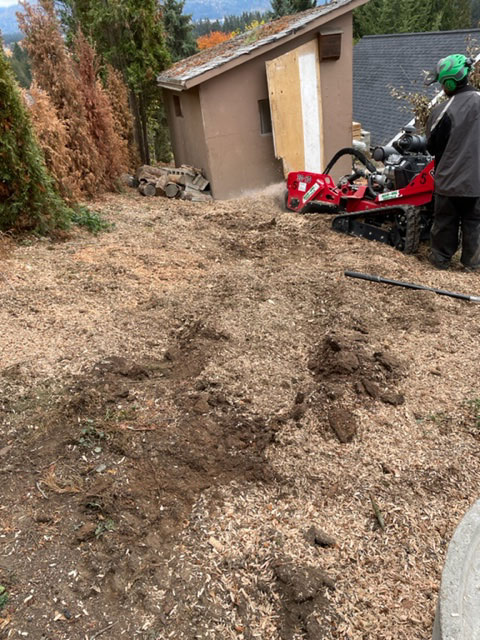 Project Gallery - Quantum Tree Services