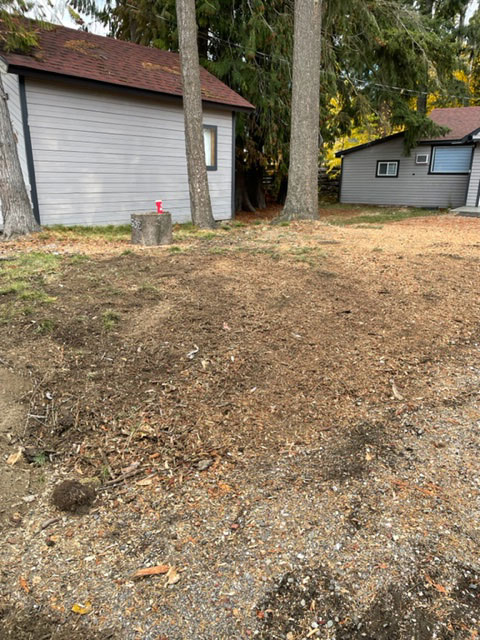 Project Gallery - Quantum Tree Services