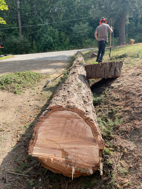 Project Gallery - Quantum Tree Services